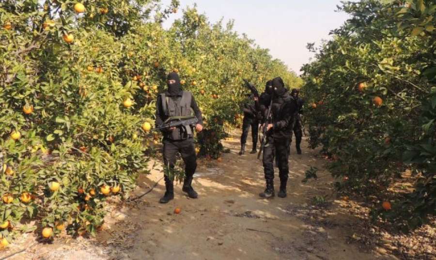 مكافحة المخدرات بالسويس تضبط كيلو هيروين وسلاح وذخيرة وأقراص مخدرة في ...